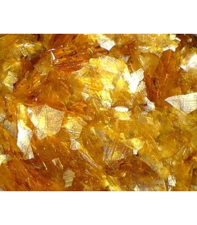 Guitar Build Supplies Shop